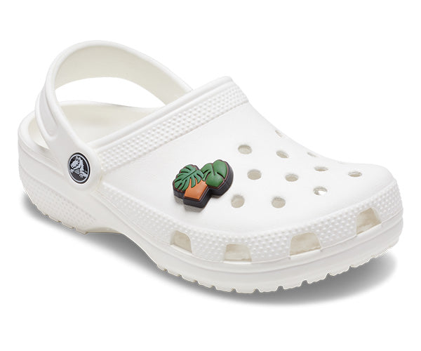JIBBITZ™ CUTIE SUCCULENT – Crocs Myanmar